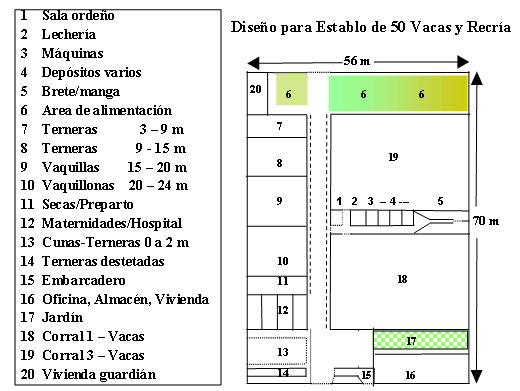 Bovino Aprende